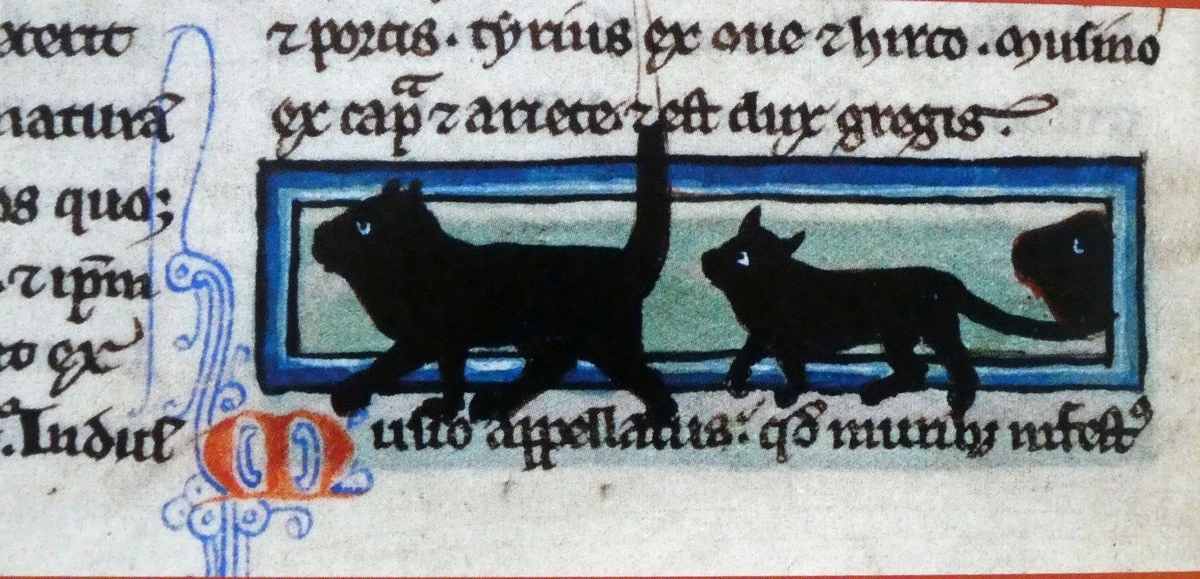 Purring Through Irish History: Learn About The History of Cats in Early ...